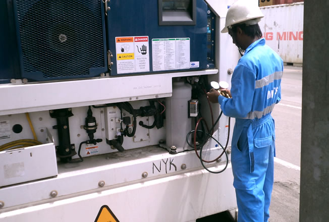 Reefer Container Warranty Repairs Services in Sri Lanka | MSTS